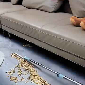 MagicBroom™ Sweeper – Eclectic Essentials